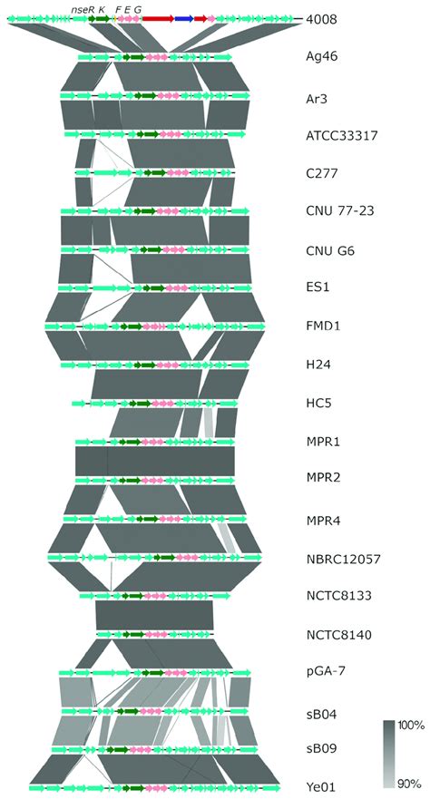 Multiple Comparison Of Nisin E Gene Cluster And Neighbouring Open Download Scientific Diagram