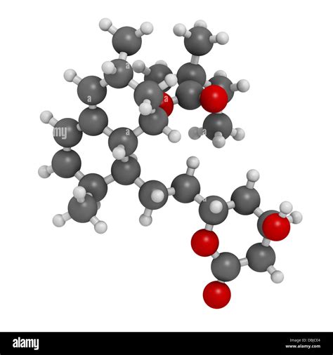 Simvastatin Cholesterol Lowering Drug Statin Class Chemical Structure Atoms Are Represented
