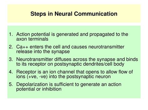 Ppt Steps In Neural Communication Powerpoint Presentation Free