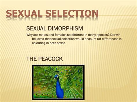 Ppt Evolution By Natural Selection Powerpoint Presentation Free Download Id 2145405