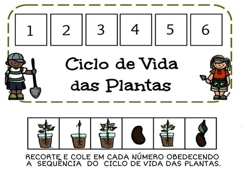 Ciclo De Vida Das Plantas Atividade Para Trabalhar O Ciclo De Vida Das