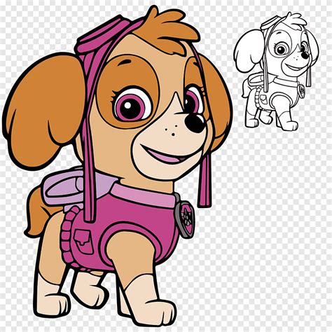 What Color Is Skye From Paw Patrol