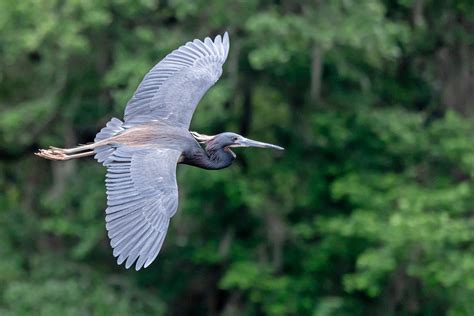 Daniel Wright Exploring Freelance Photography Stock Imagery Insights And Growth Through