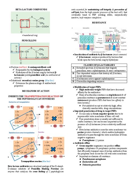 Units Essential For Maintaining Cell Integrity Prevention Of Pdf