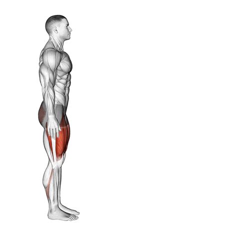 Hardest Gym Exercises The Ultimate Guide Fitness Volt