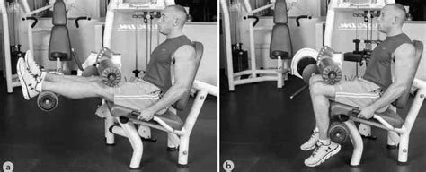 Seated Leg Curl Exercise Bodybuilding Wizard