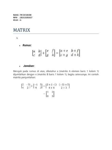 Contoh Soal Matrix Pdf