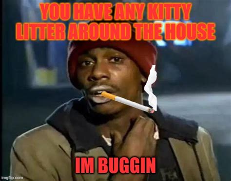 U Buggin Memes You Buggin Chill Guy Meme Is Goated