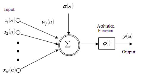 Structure Of A Single Neuron Download Scientific Diagram