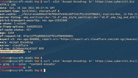 Opensuse Install Brotli Module For Nginx Nixcraft