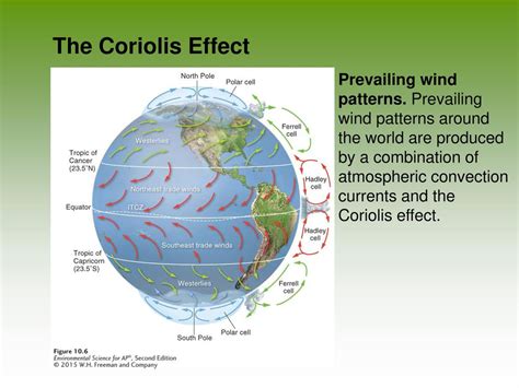 Global Climates And Biomes Ppt Download
