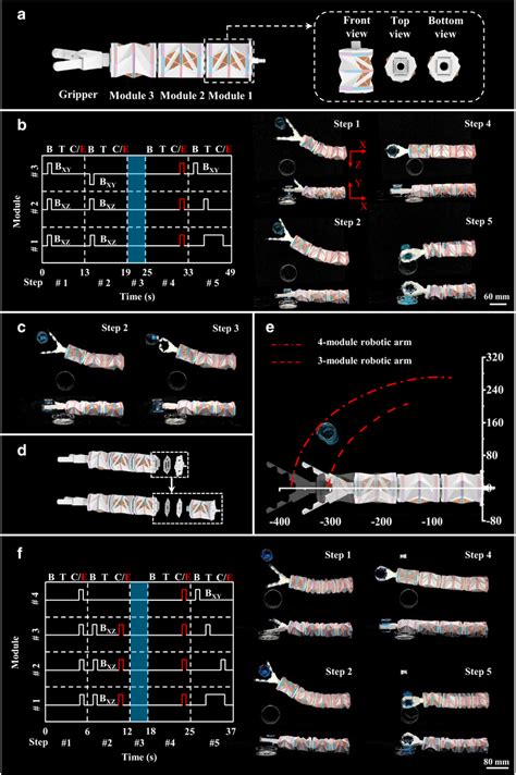 Robotic Arm With Multiple Modules A Schematic Design Of A Three Module Download Scientific