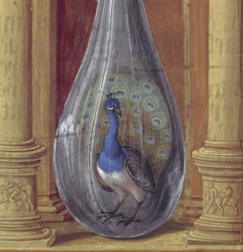 The Language Of Birds Alchemical Symbolism Part 3 The Peacocks Tail