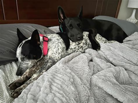 These Girls Love Each Other So Much 9gag