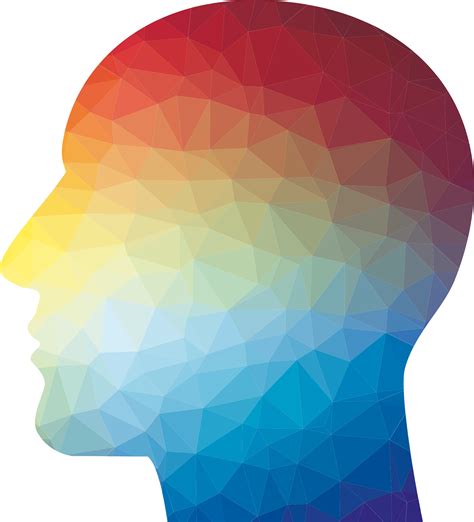 Human Head Vector Png