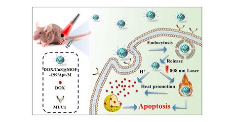 Aptamer Functionalized Nanoscale Metalorganic Frameworks For Targeted Photothermal Chemo