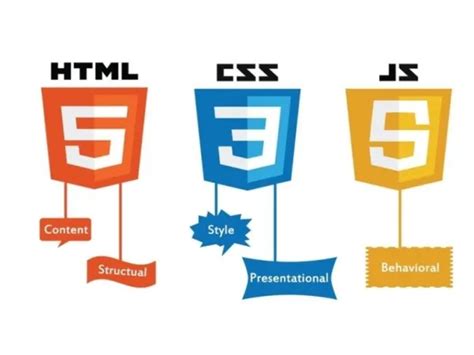 frontend html css e javascript nathalia oliveira gon alves quizur
