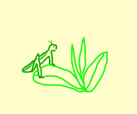 Grasshopper Drawception Grasshopper Drawception