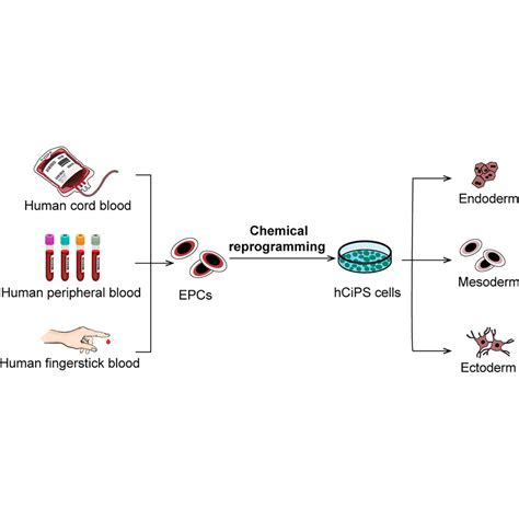 Chemical Reprogramming Of Human Blood Cells To Pluripotent Stem Cells