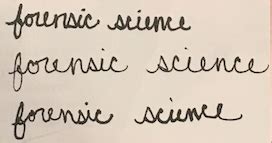 Forensics Unit 6 Flashcards Quizlet