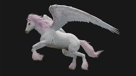 Pegasus A2 Animated 3d Model By Animated3d