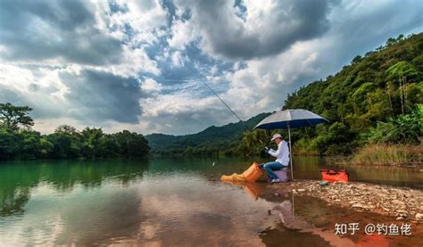 新手钓鱼该做哪些准备？史上最精辟的钓鱼技巧，从入门变精通 知乎