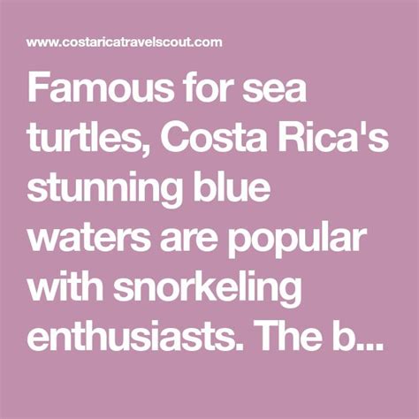 Famous For Sea Turtles Costa Ricas Stunning Blue Waters Are Popular With Snorkeling
