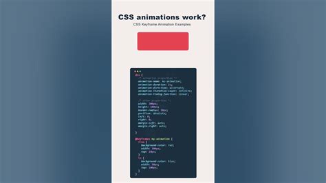 How Do Css Animation Work Learn Css Keyframe Animation Css Cssanimation Webdesign Shorts