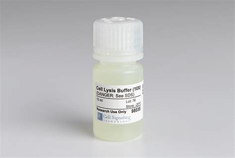 Lysis Buffer Recipe For Rna Extraction