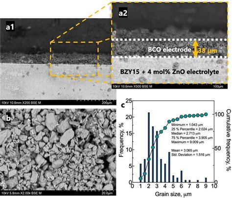 Microstructure Of The Electrochemical Cell After Tests A Cross Download Scientific Diagram