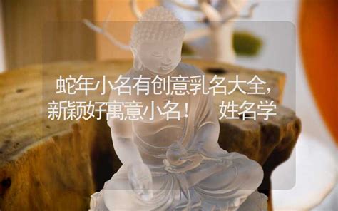蛇年小名有创意乳名大全，新颖好寓意小名！ 姓名学 姓名起名 合福居算命网