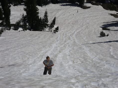 Lassen Volcanic Get Into The Wildlife