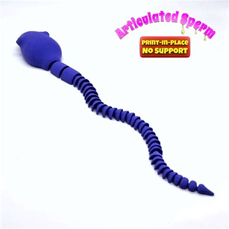 🎨 Articulated Sperm・free Stl File For 3d Printing・cults