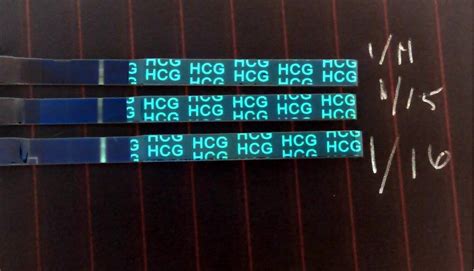 Best Line Progression Images On Pholder TFAB Line Porn Blackdesertonline And Lineporn