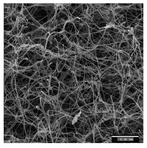 Bacterial Cellulose Alchetron The Free Social Encyclopedia