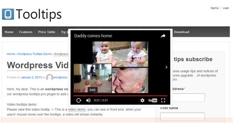 Wordpress Tooltips Wordpress Tooltips Plugin Glossary Plugin