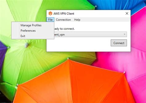 Aws Vpn Client Vpn With Vgw Dev Community
