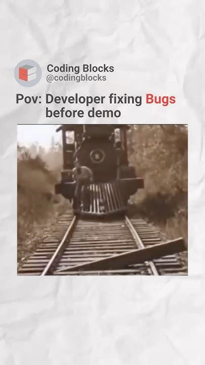 Developer Fixing Bugs😂 🐞 Relatable Codingblocks Developer Bugs
