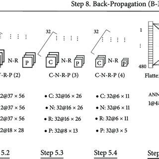 CNN Framework Steps 5 8 Download Scientific Diagram