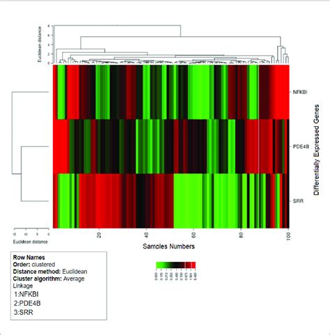 Hierarchical Cluster Analysis Heat Map Indicates The Expression