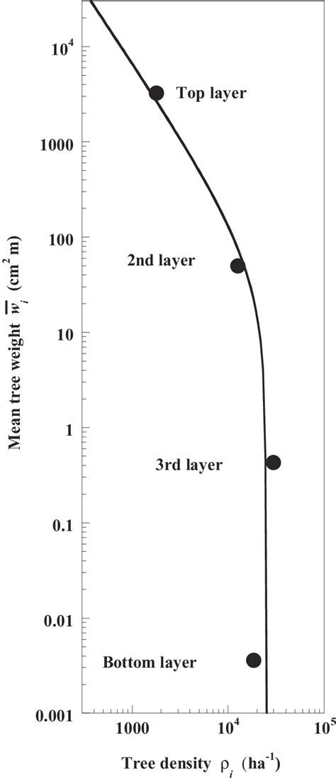 Relationship between mean tree weight and tree density ρ i among the Download Scientific