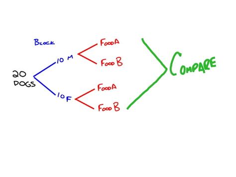 Ch Confounding Variables PPT