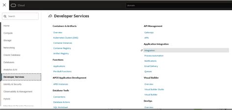 Oracle Integration Cloud Calling Api Endpoints With Oauth 20 Using The Client Credentials