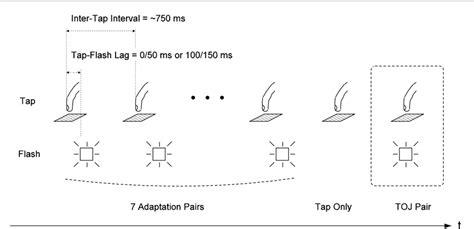 Figure 1 From Neural Correlates Of Motor Sensory Temporal Recalibration Semantic Scholar