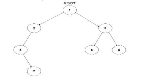 Leftmost And Rightmost Nodes In A Binary Tree Naukri Code 360
