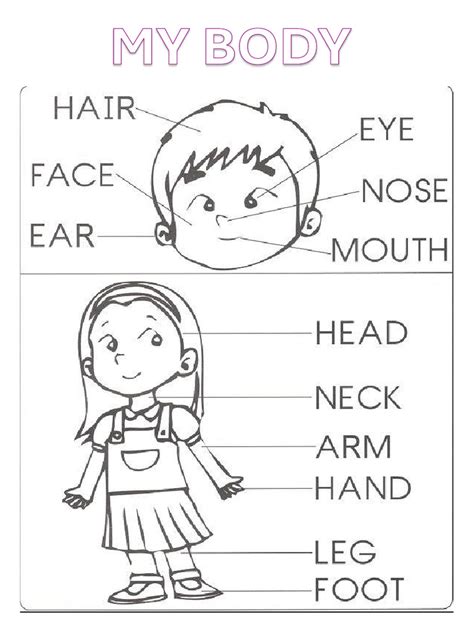 11 Copias Paula Nácher Pdf