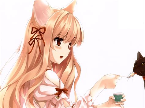 🔥 50 Anime Neko Wallpapers Wallpapersafari