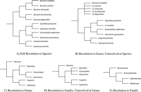 Weighting And Resolution Manipulations Of Phylogenetic Tree The Download Scientific Diagram