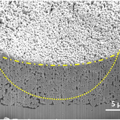 Schematics Of The 2d Fem Simulation Of Spherical Indentation Of A Download Scientific Diagram