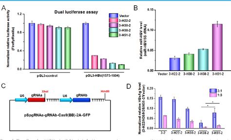 Figure 3 From The Grna Mirna Grna Ternary Cassette Combining Crispr